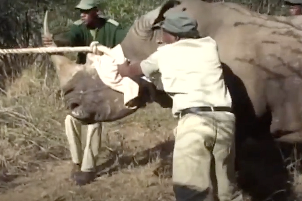 Rhulani Safari Lodge | Operation Phoenix