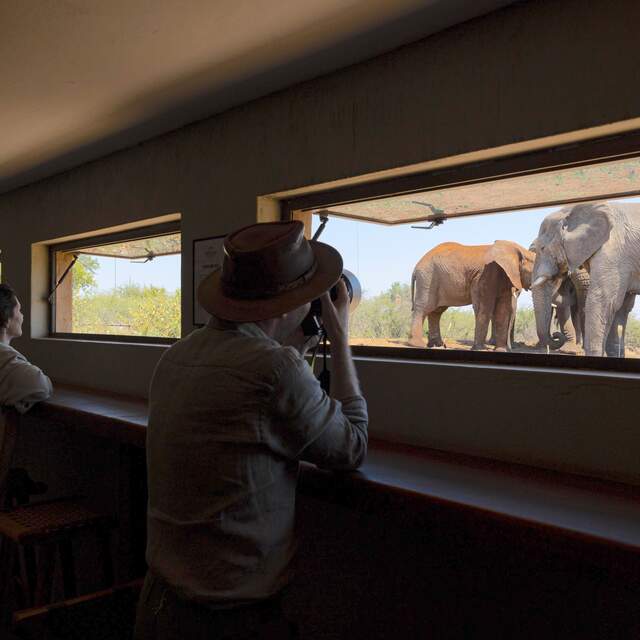 Rhulani Safari Lodge | Activities included in your stay