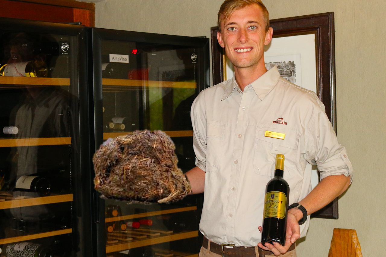 Rhulani Safari Lodge | Biogas from Elephant Dung: Rhulani solves the…