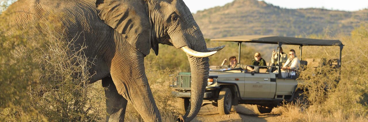 Rhulani Safari Lodge | Madikwe Safari