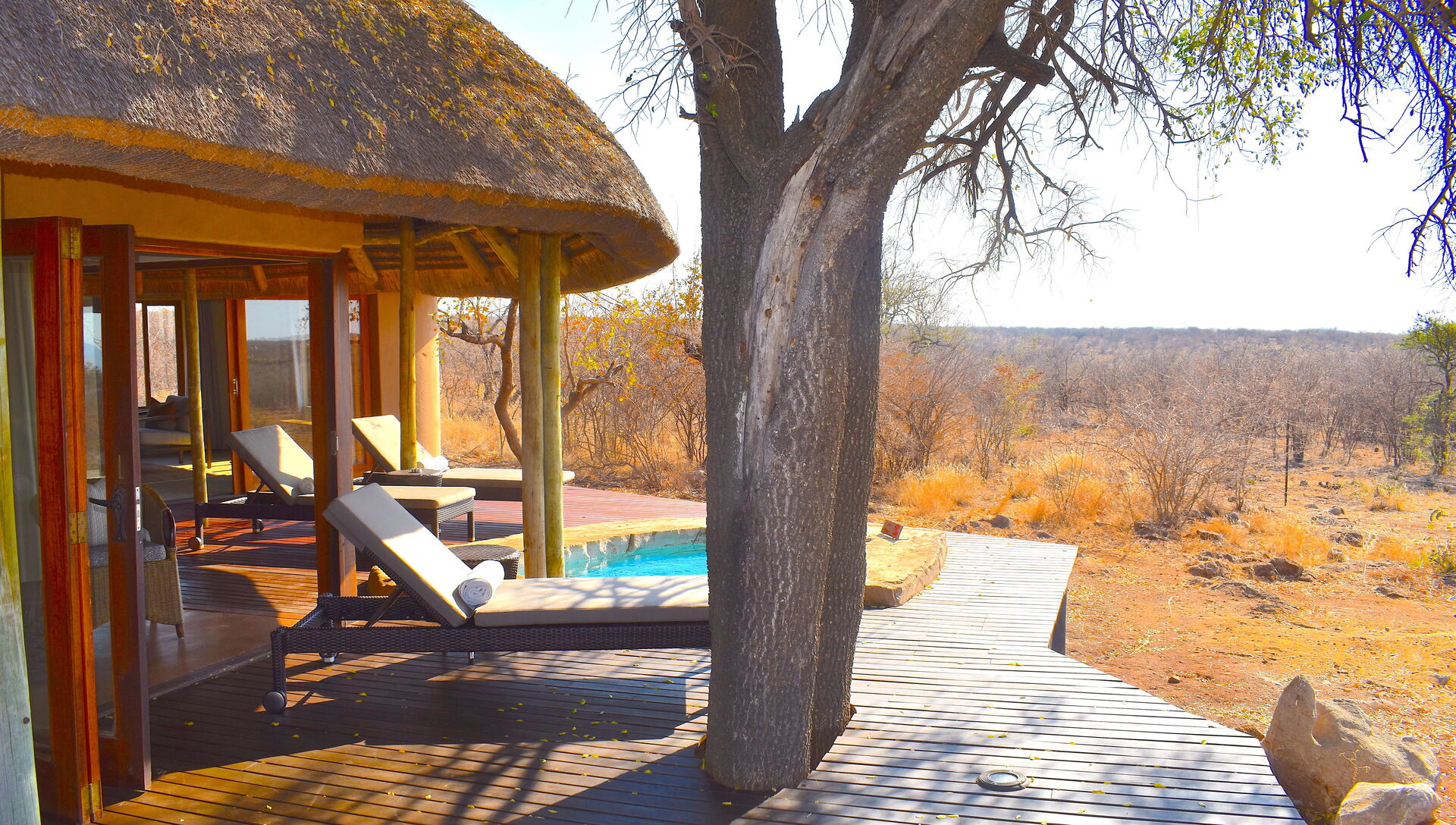 Rhulani Safari Lodge | Welcome to Rhulani