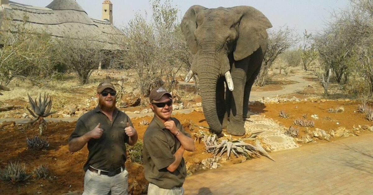Rhulani Safari Lodge | September update: our most beloved animals in…