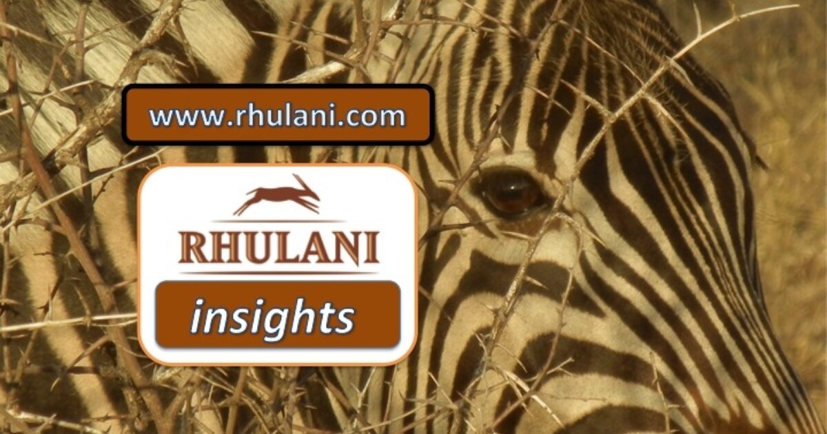Rhulani Safari Lodge | Rhulani Insights 002 - Approaching Rhulani on…