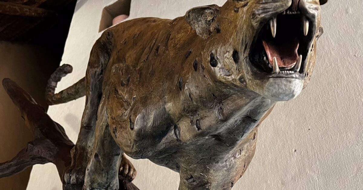 Rhulani Safari Lodge | True stories about our leopard in the lobby