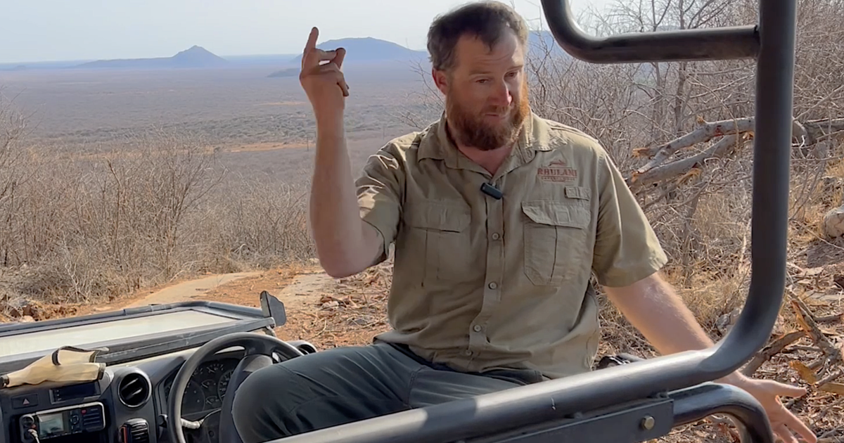 Rhulani Safari Lodge | Life of a Ranger: The lion takes the shady spot